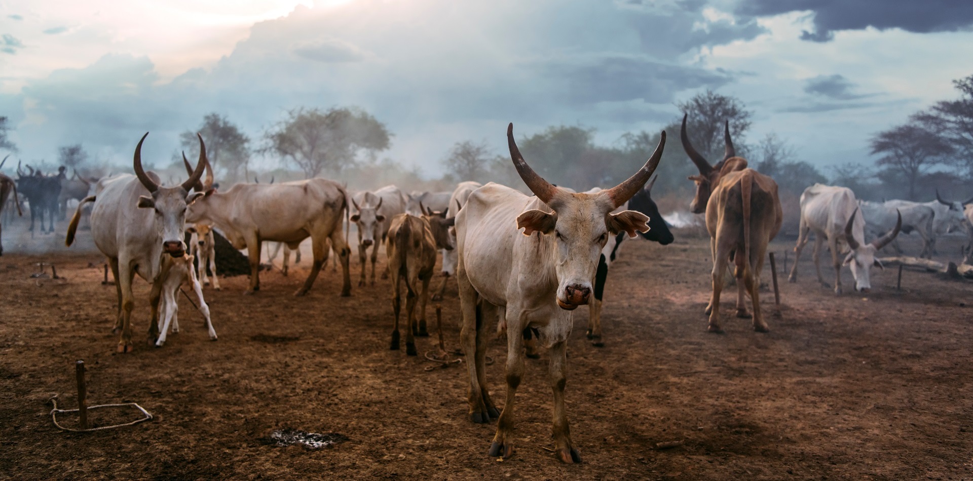 The 64 Tribes of South Sudan | Cultural Diversity Unveiled
